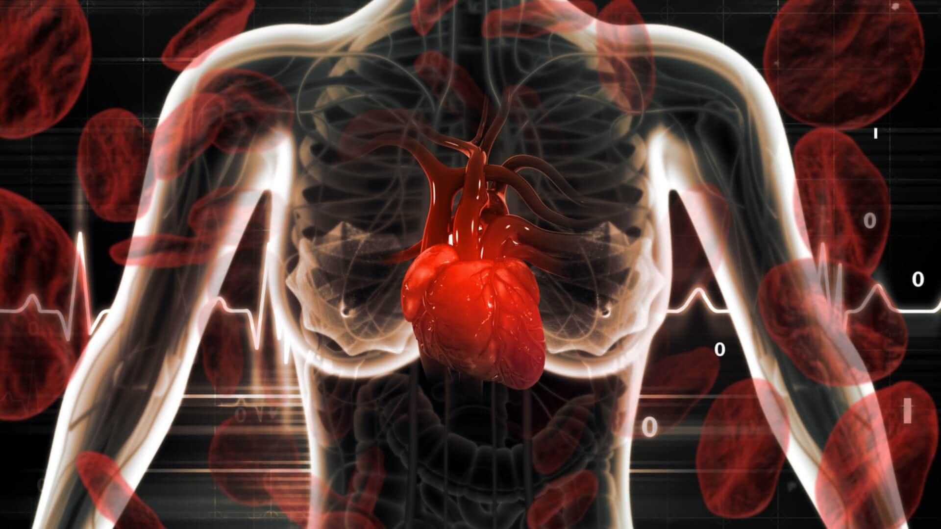 Basic Life Support: A Complete Guide for Beginners